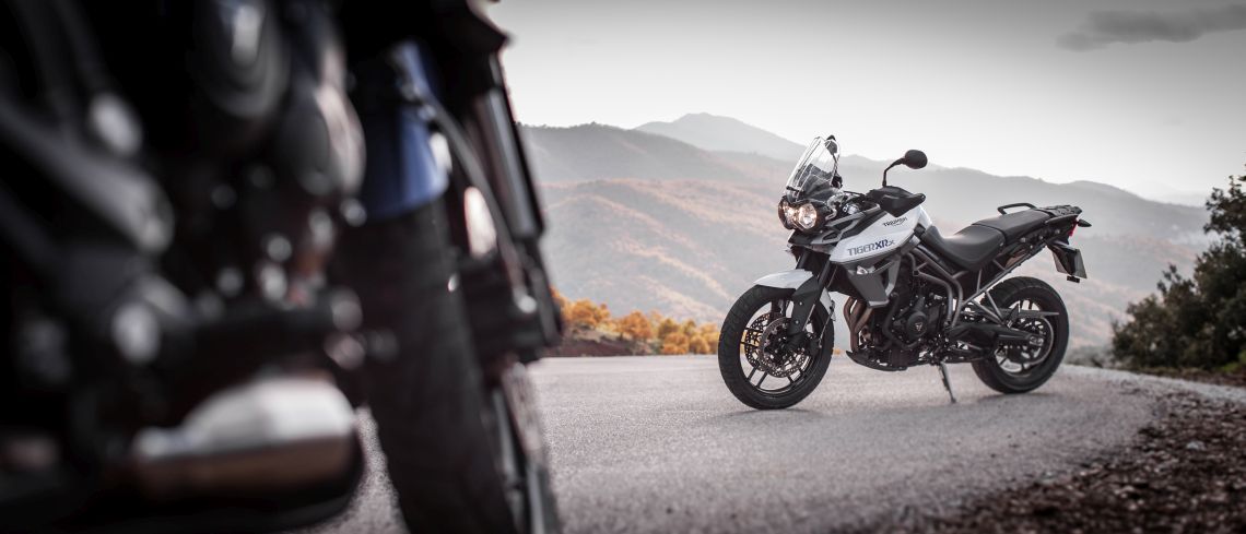 Triumph Tiger 800 XR - Adventure Bike Rider