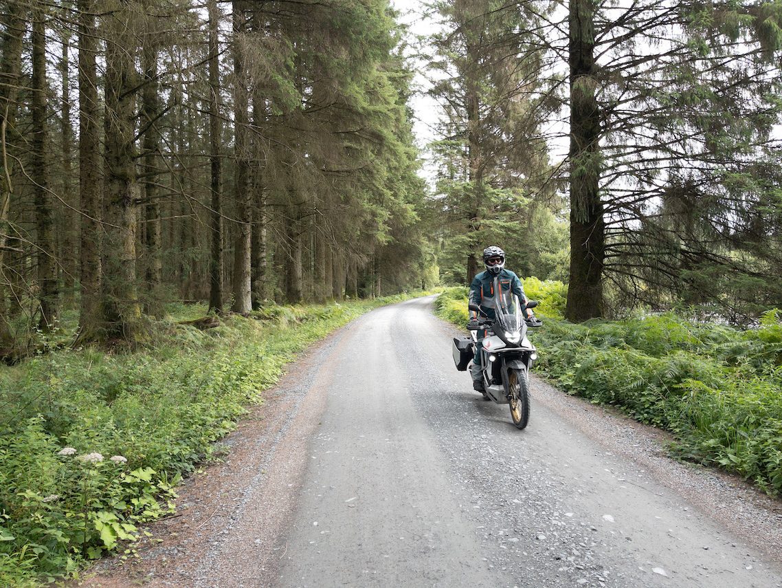 Discover the UK's great forest rides - Adventure Bike Rider
